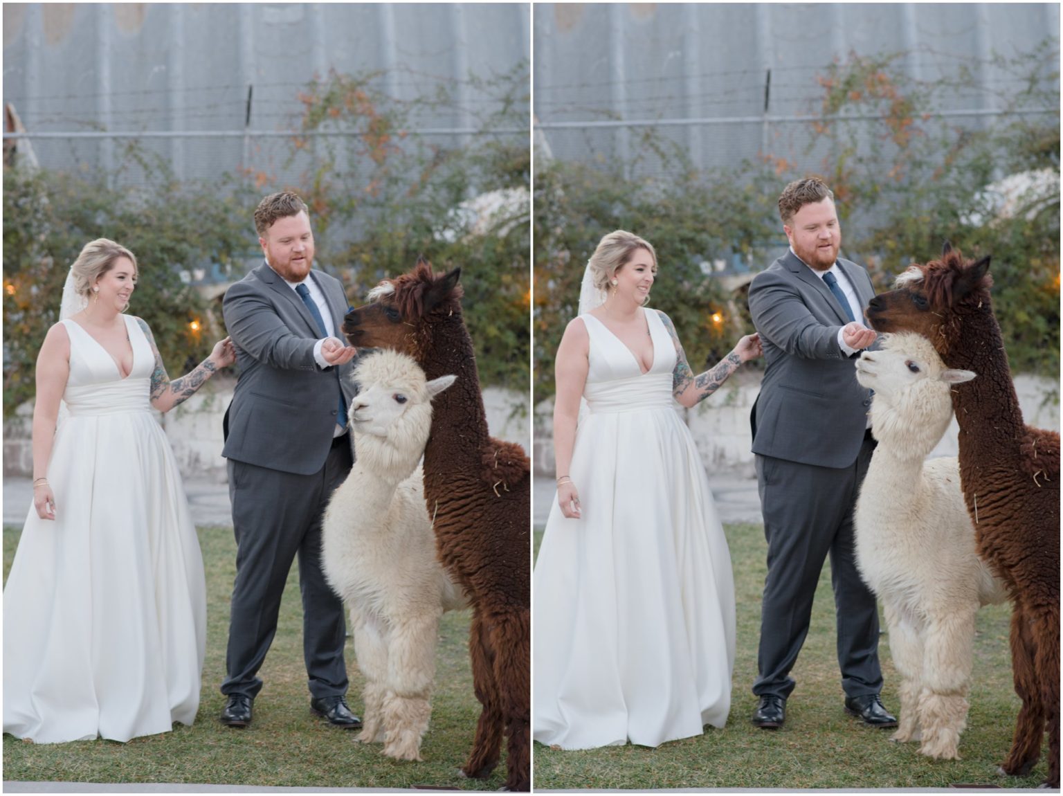 Tory + Kyle at The Doyal Las Vegas - karissaruss.co